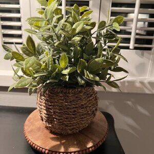 Other | Imitation Tea Leaf Plant In Wicker Pot | Poshmark
